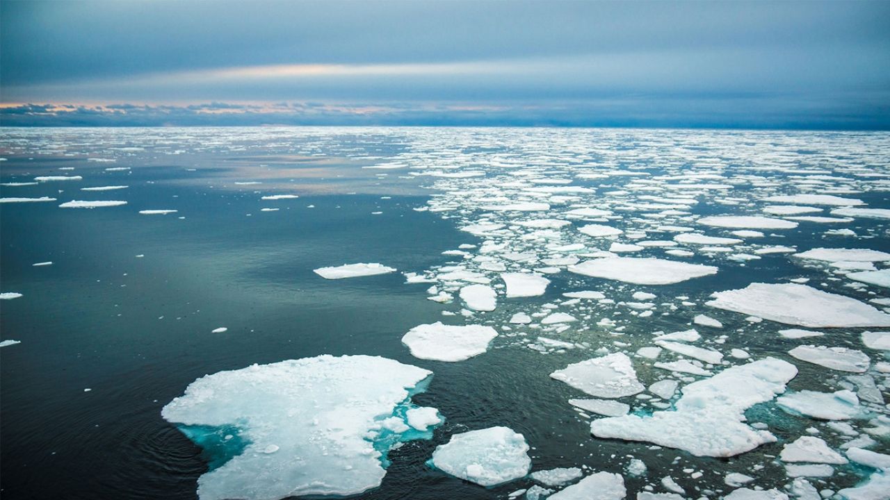 Alerta mundial: el Artico registró la mayor temperatura de su historia ...