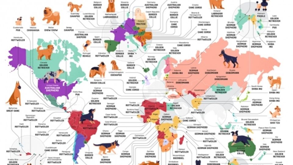 Este es el mapa que te permitirá confirmar de qué país es originario tu ...