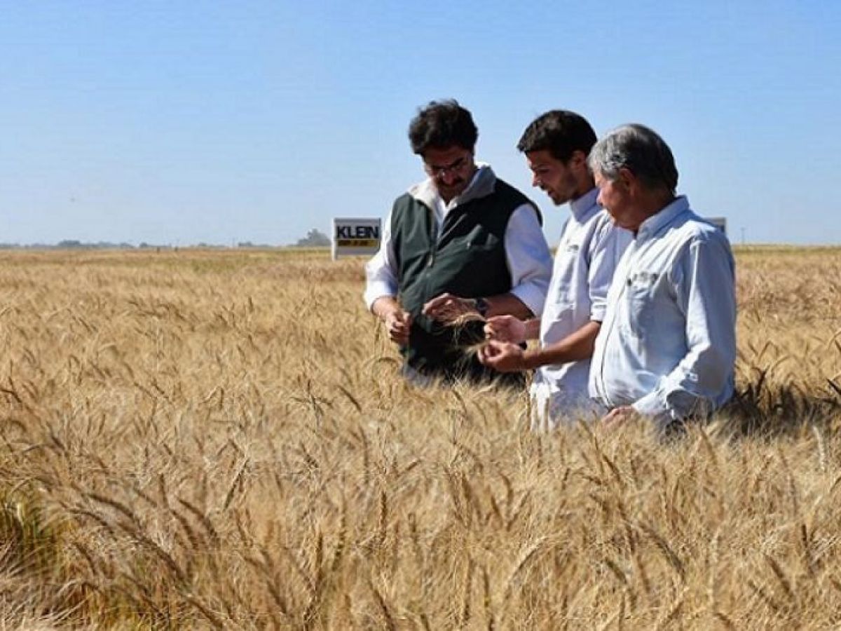 Agro: aumenta la confianza de los productores rurales | Radio Perfil