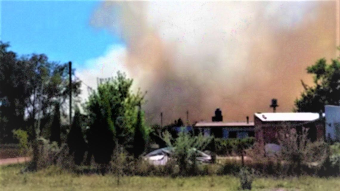 Mar del Plata: las altas temperaturas provocaron cerca de 30 incendios ...