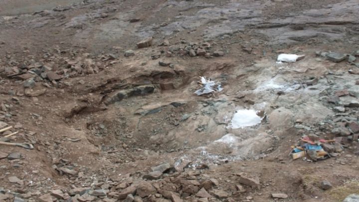 Te presentamos a Maip, el megaraptor más grande y más austral del mundo ...