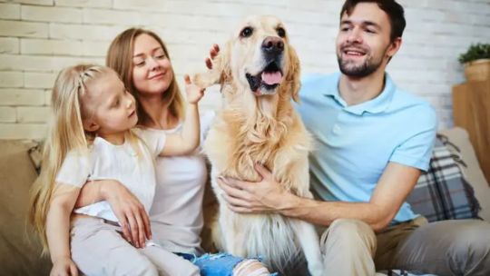 ¿Por qué los perros tienen un rol cada vez más importante para los ...