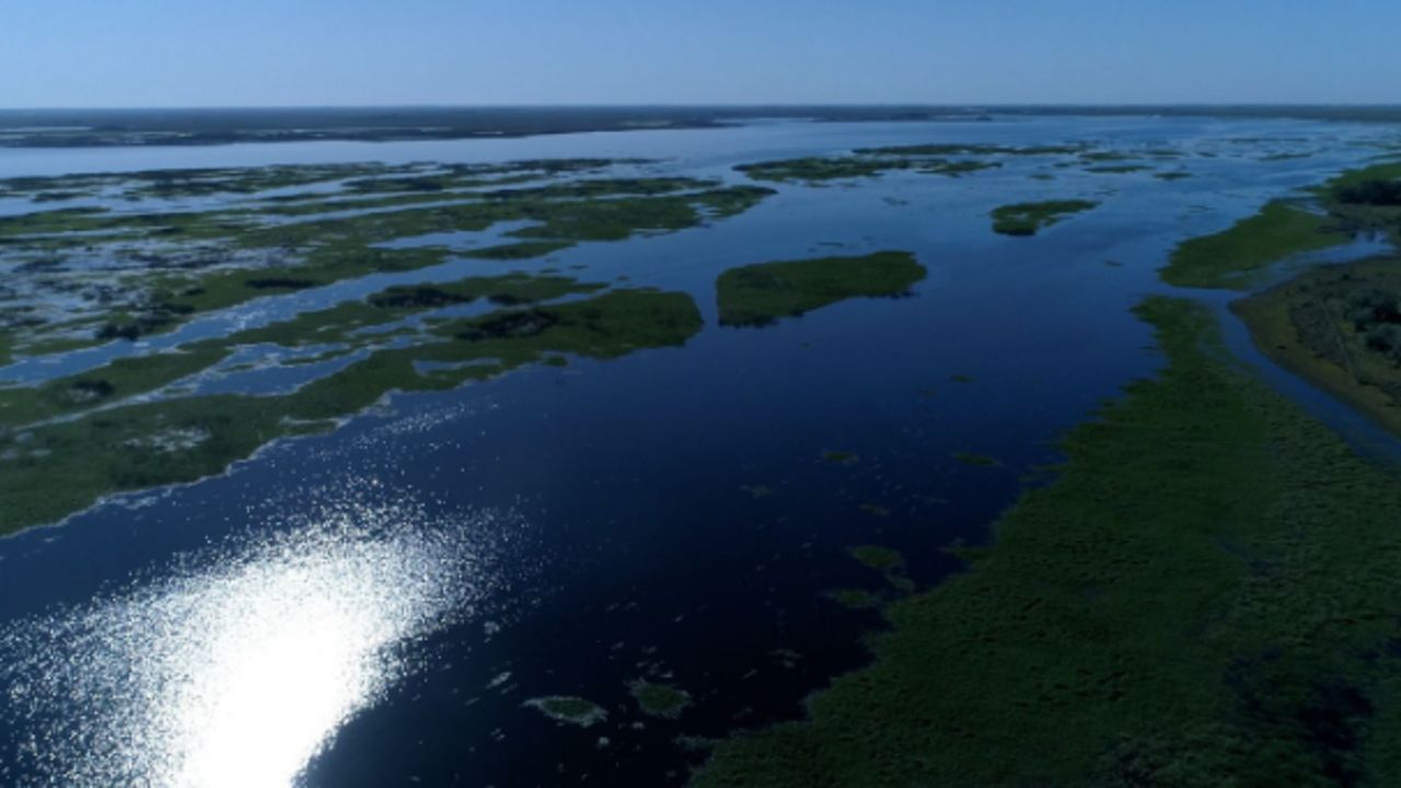 El Parque Nacional Iberá ya recuperó más del 80 % de su superficie ...