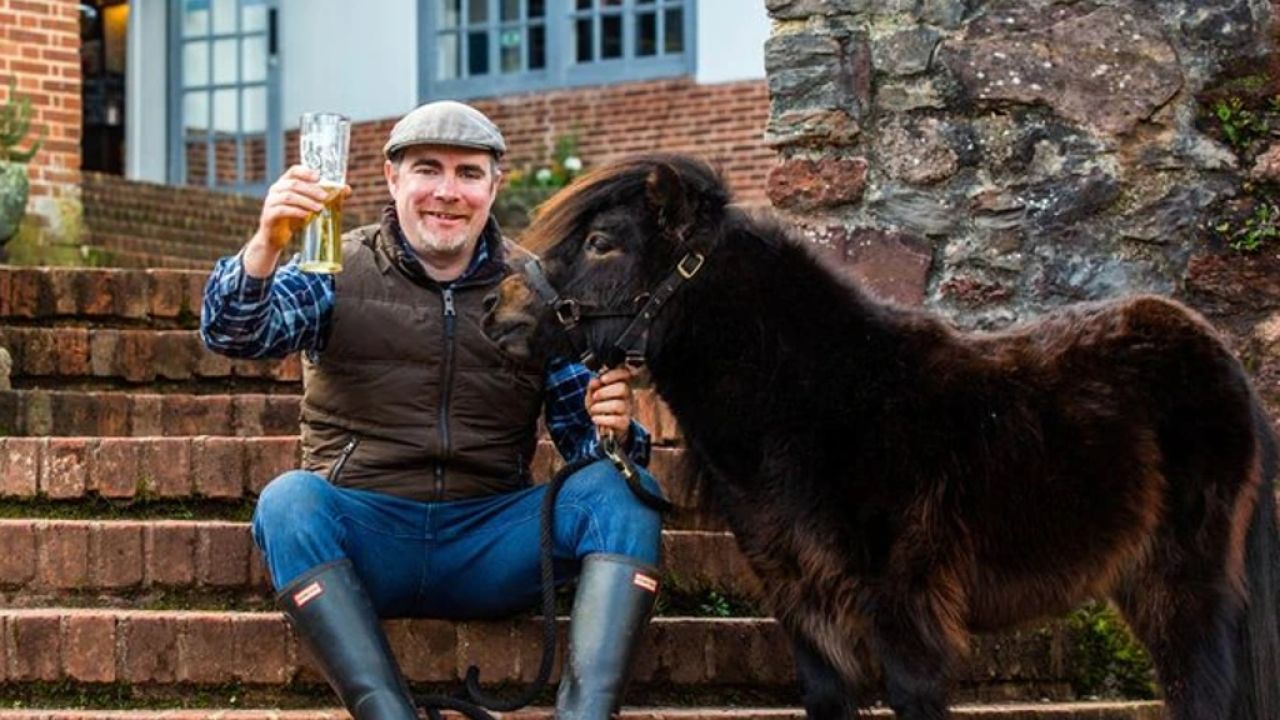 Te presentamos a Patrick, el primer pony alcalde del mundo | Weekend