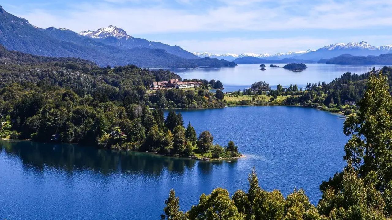 La fauna y flora del río Negro están en peligro por el avance de ...
