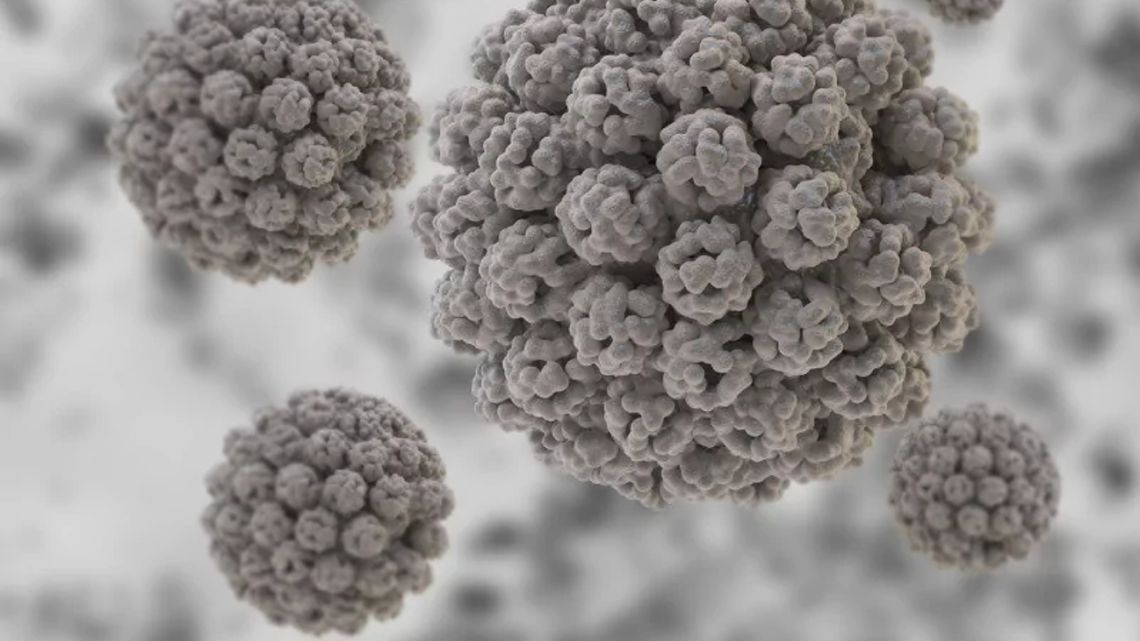 El laboratorio de Wuhan descubrió un nuevo virus animal | Perfil