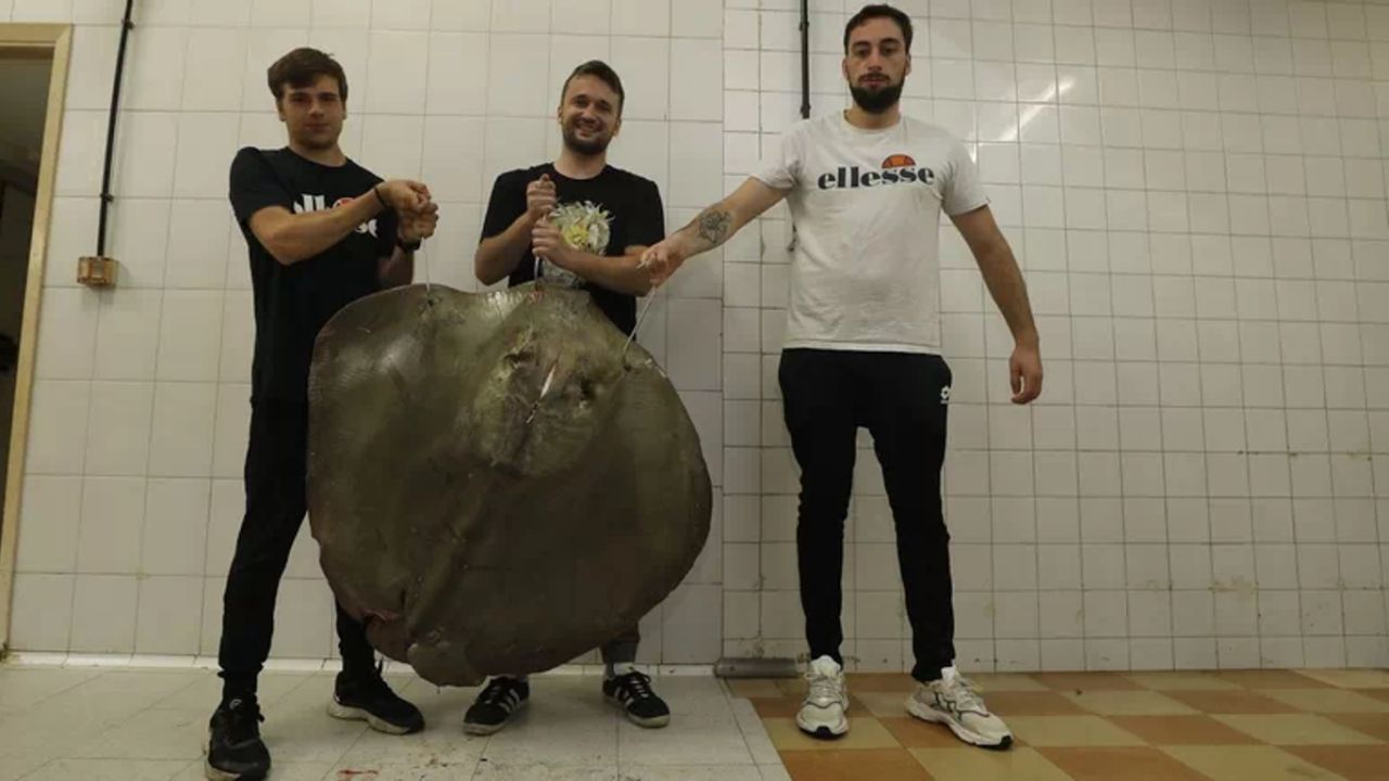 Mirá el gigantesco chucho que pescaron en España | Weekend