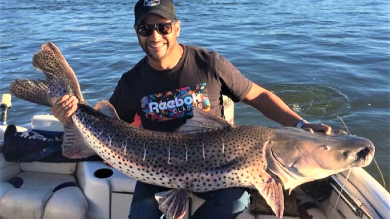 Exitosa previa de la Fiesta del Surubí | Weekend