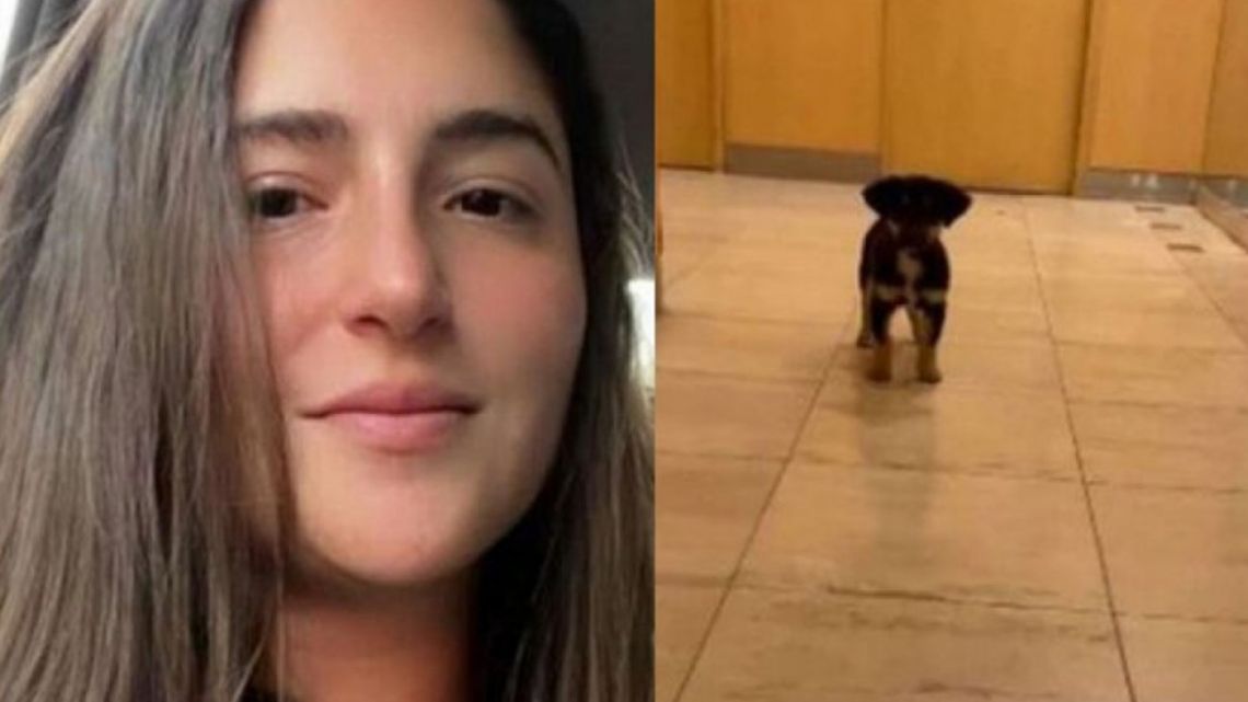 Citan a indagatoria a la "cheta-roba perros", la joven que le sacó su ...