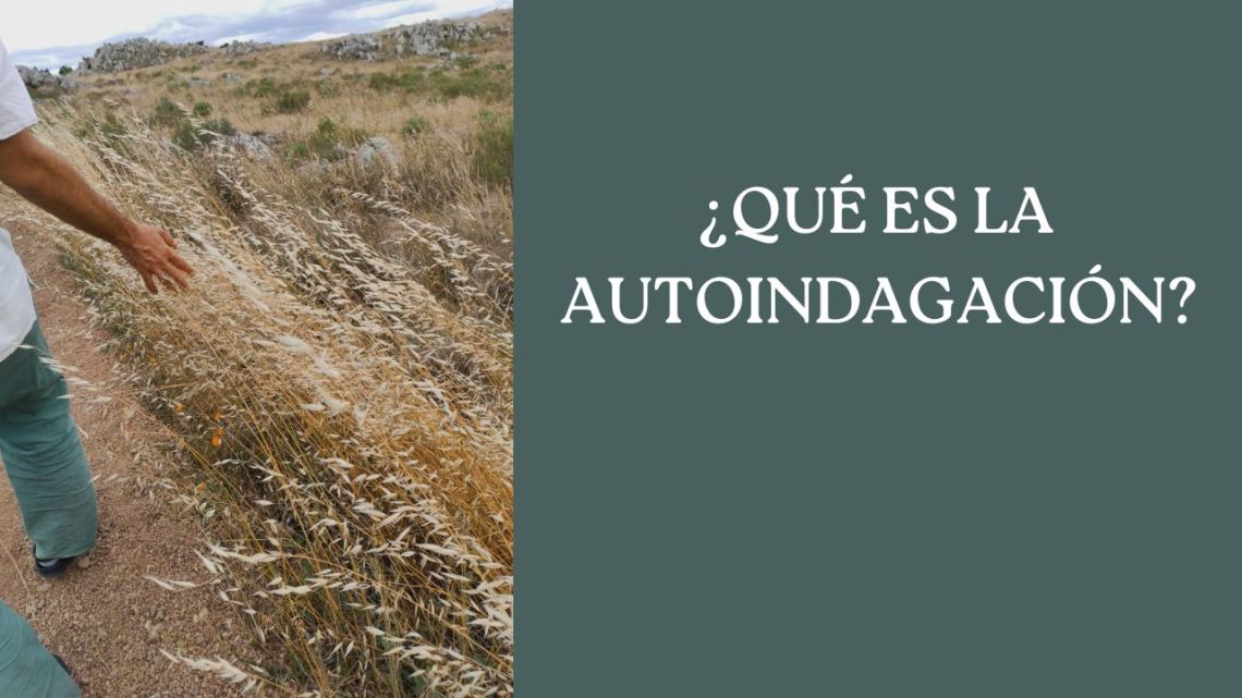 ¿Qué es la autoindagación? | Caras