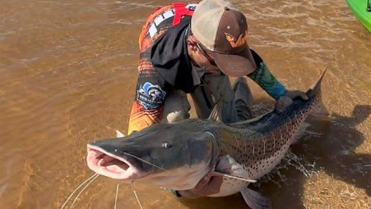 Pescando surubíes desde kayaks | Weekend