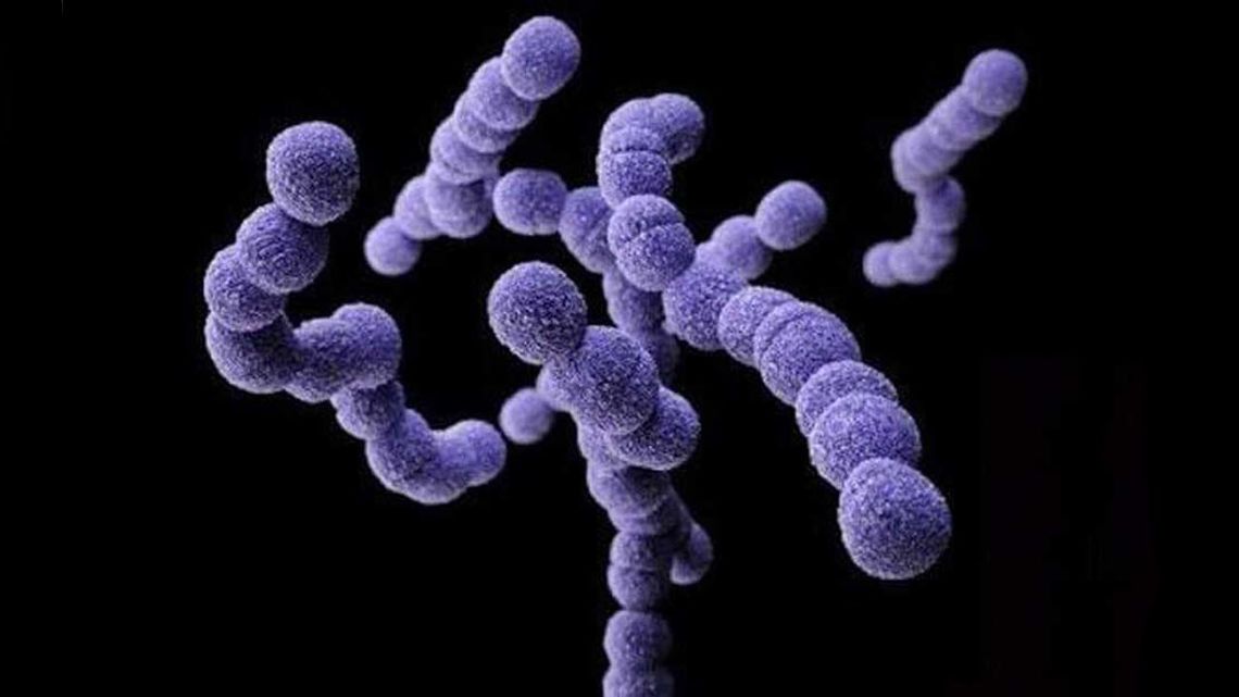 Siete niños murieron en Reino Unido por un brote de la bacteria Strep A ...