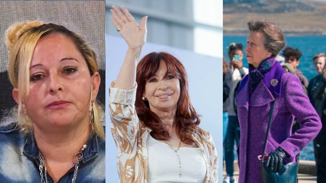 Perfil.com en 2022: estas fueron las diez notas favoritas de nuestros ...