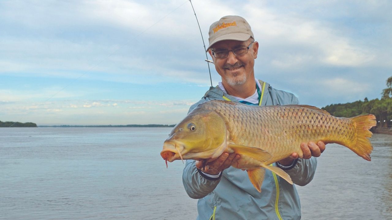 Gigantes de muelles cebados en el Paraná Guazú | Weekend