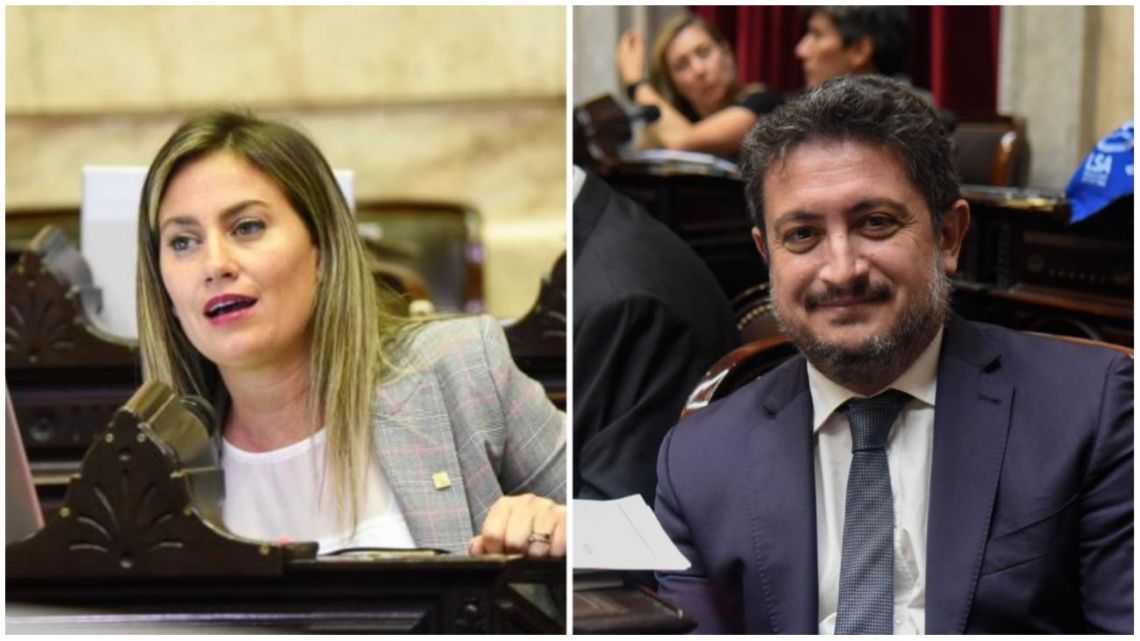 Comisión de Juicio Político: el kirchnerismo reemplaza a una diputada por "problemas personales ...