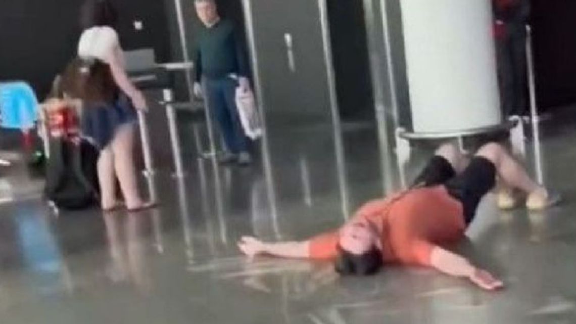 An Airline Lost Its 4 Dogs And The Owner s Reaction Went Viral Archyde