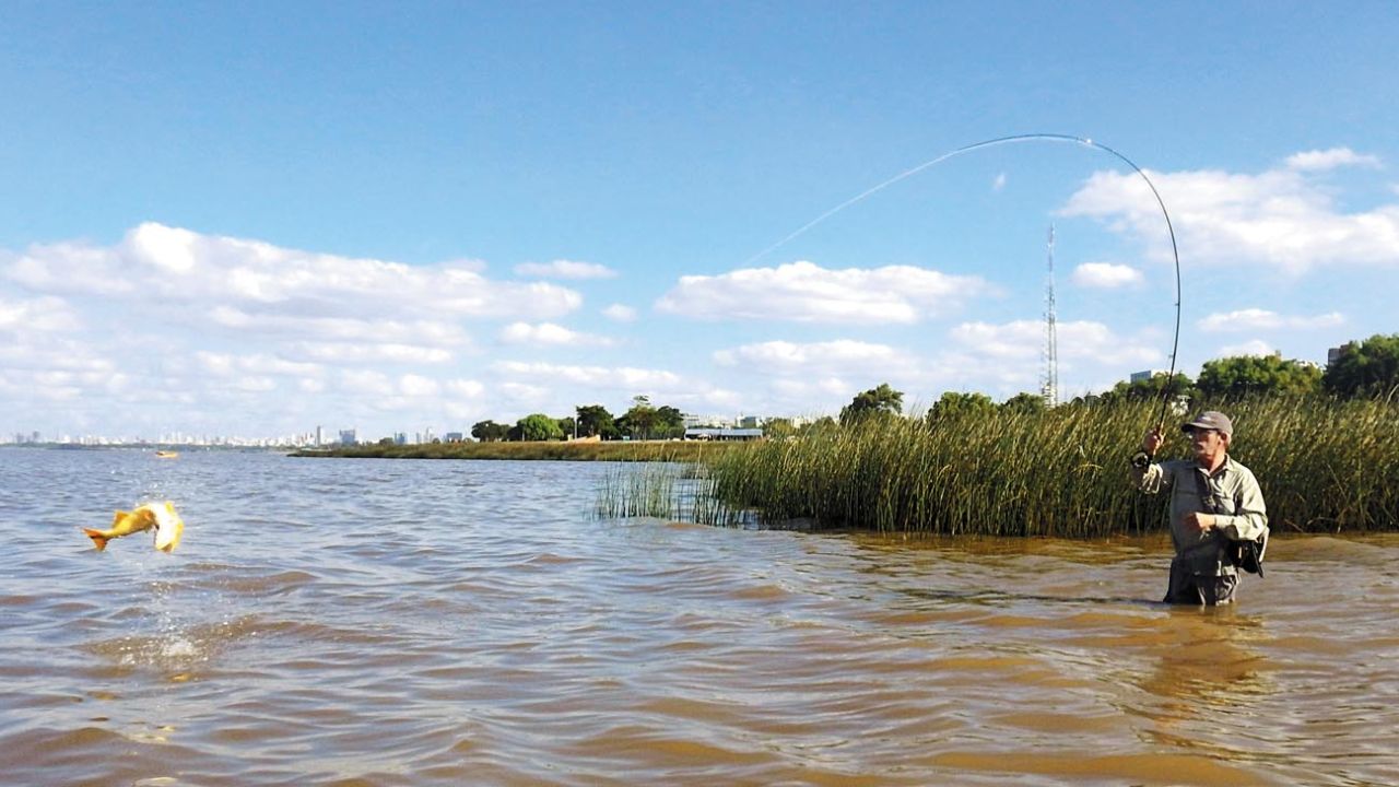 Escapadas urbanas caña en mano por el Río de la Plata | Weekend