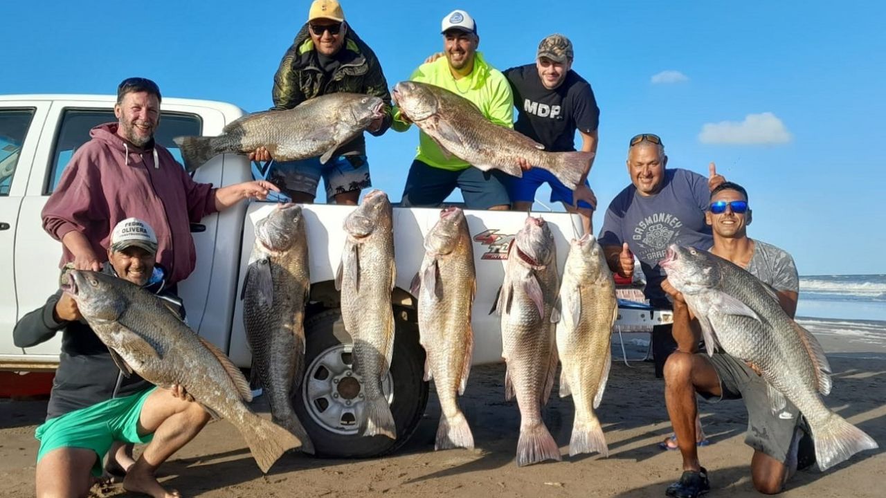 Las corvinas negras gigantes de Mar Chiquita | Weekend