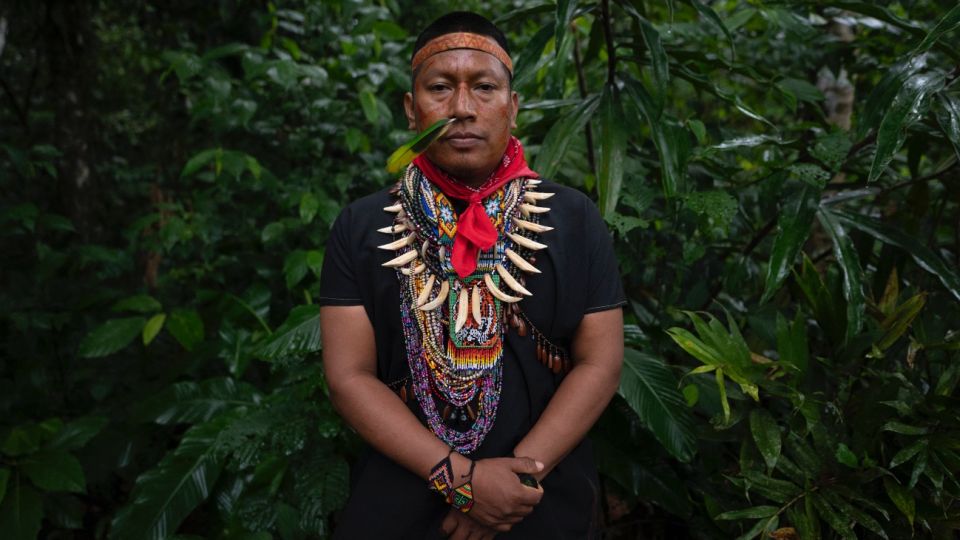 Ayahuasca: 'source of knowledge' in the heart of the Amazon | Buenos ...