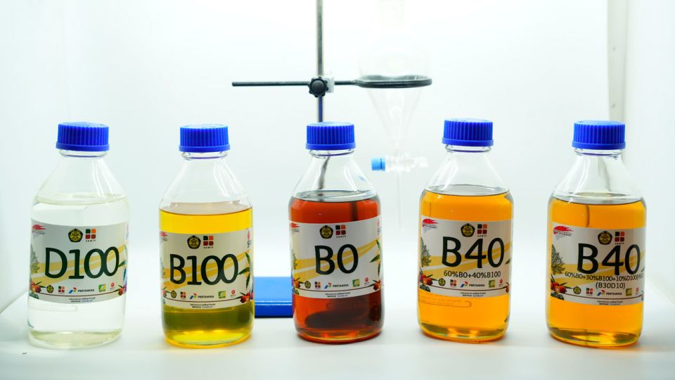 Shortage of cooking oil looms as biofuels gain global appeal | Buenos ...