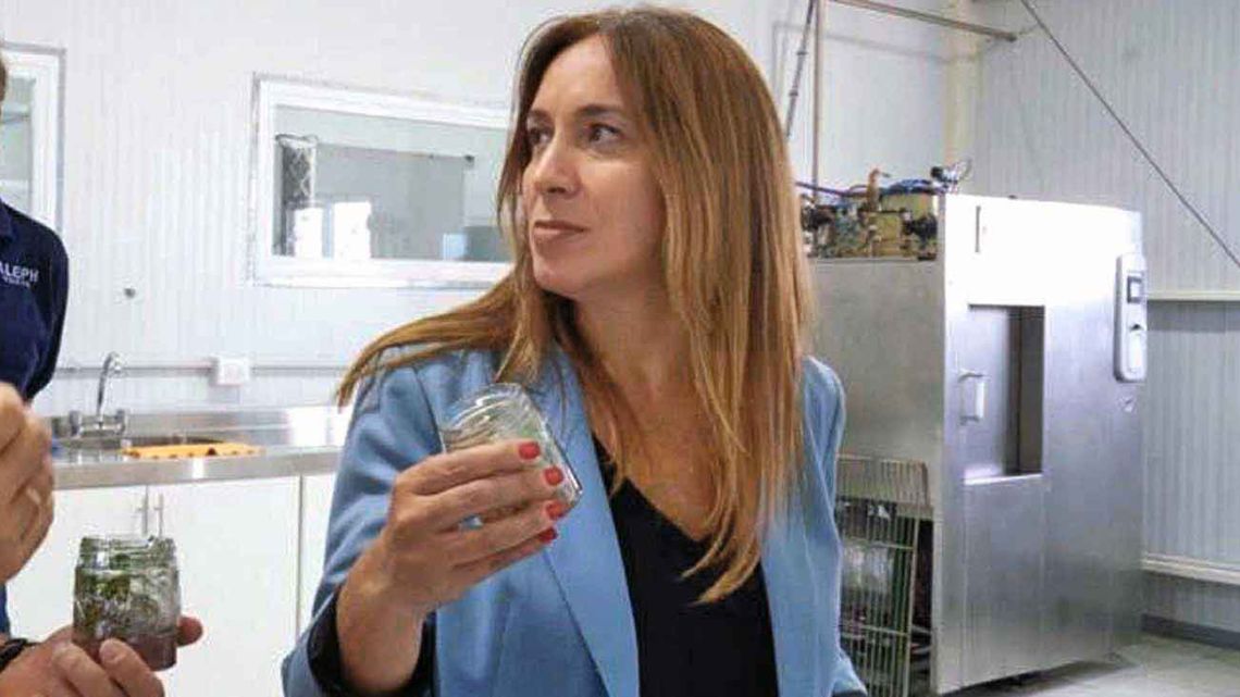 Tras su boda, Vidal tendrá más fotos con dirigentes | Perfil