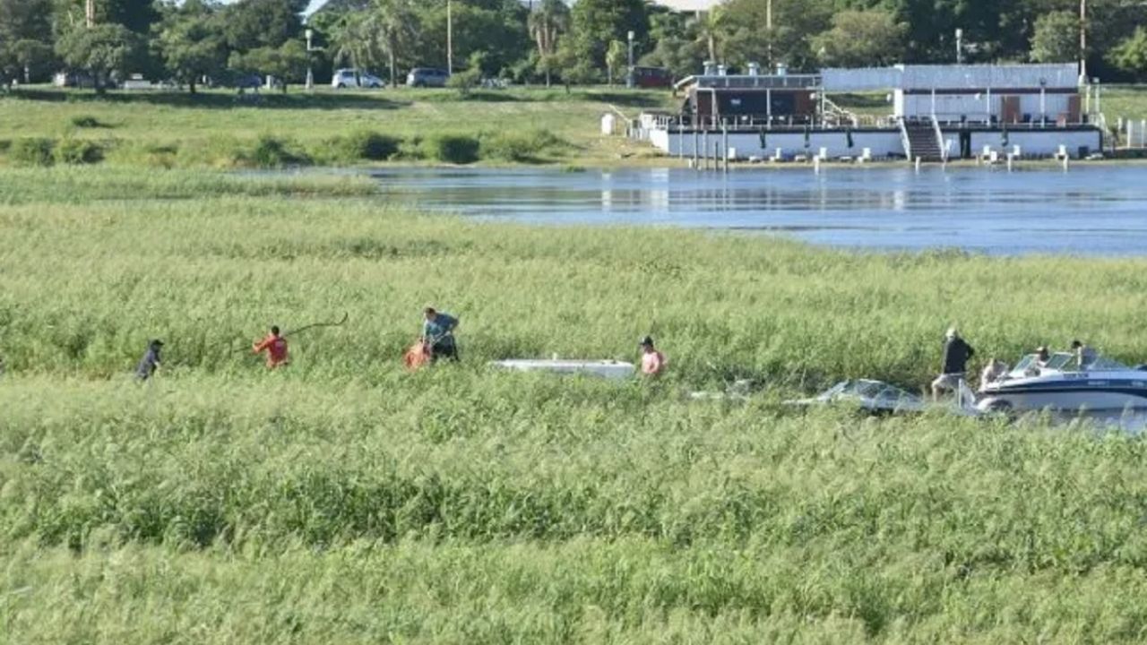 ¿Qué es el extraño y gigantesco manto verde que está cubriendo a la ...
