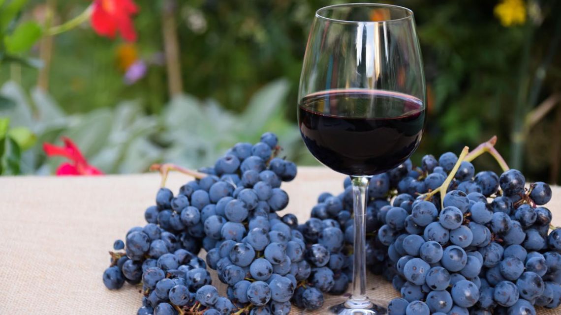 Día Mundial del Malbec: Estados Unidos es el principal mercado de ...
