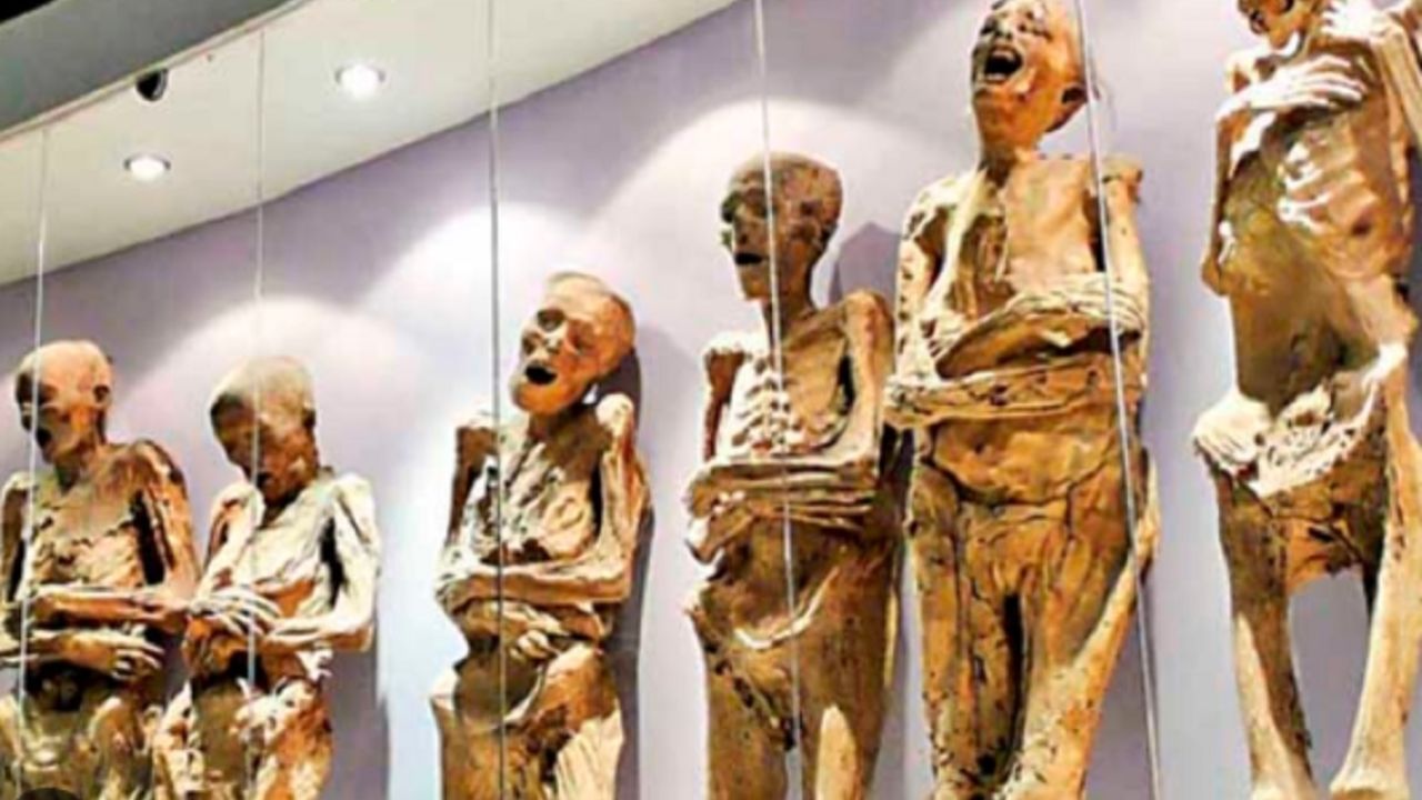 Afirman que las momias de Guanajuato pueden infectar a los humanos ...