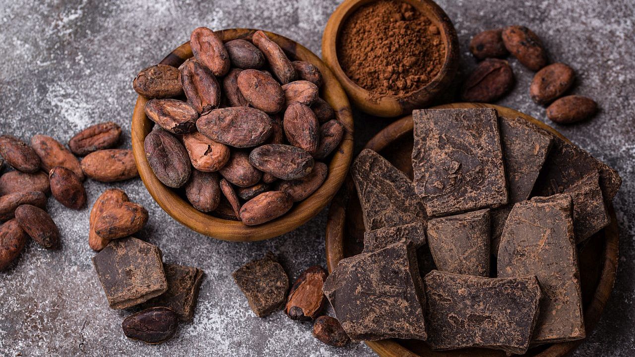 La exquisita ruta del cacao nació en Ecuador | Weekend