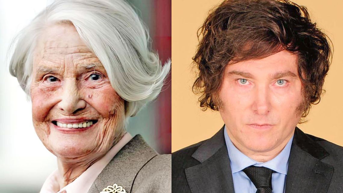 Noelle-Neumann y Javier Milei | Perfil