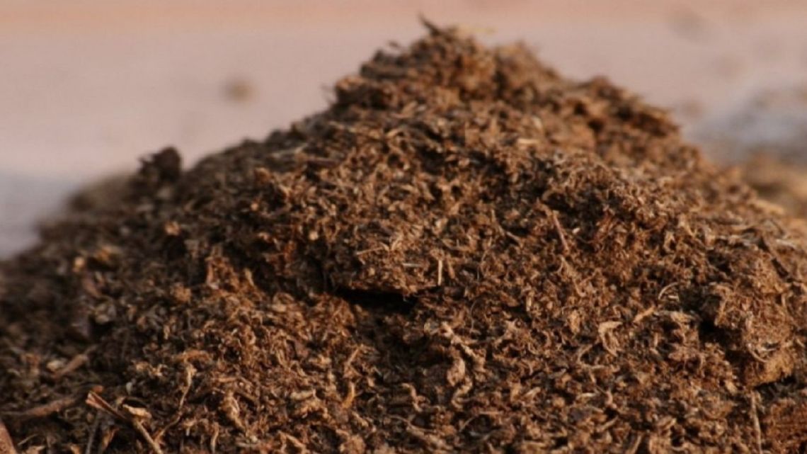 Minería: qué es la turba y cuál es su potencial de explotación en el ...