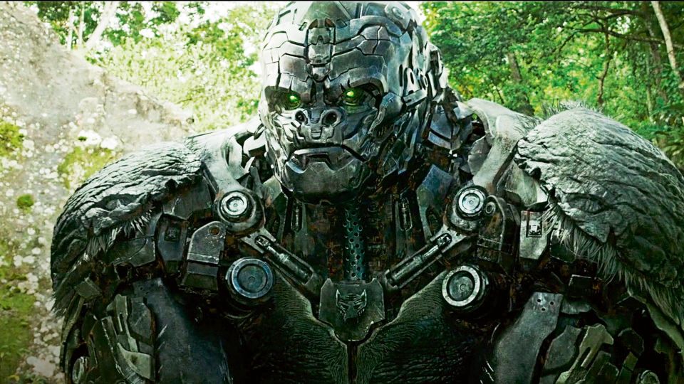 Transformers 6 Noticias