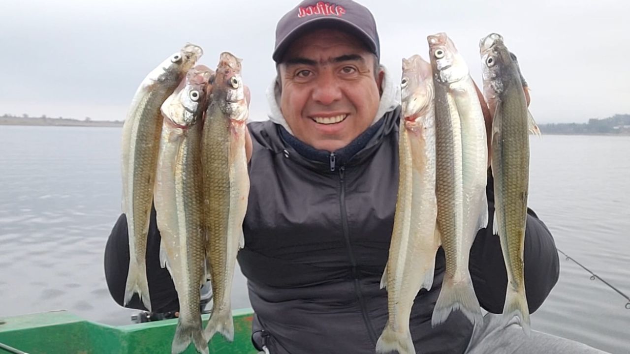Una de cal y otra de arena en embalses con muchos pejerreyes | Weekend