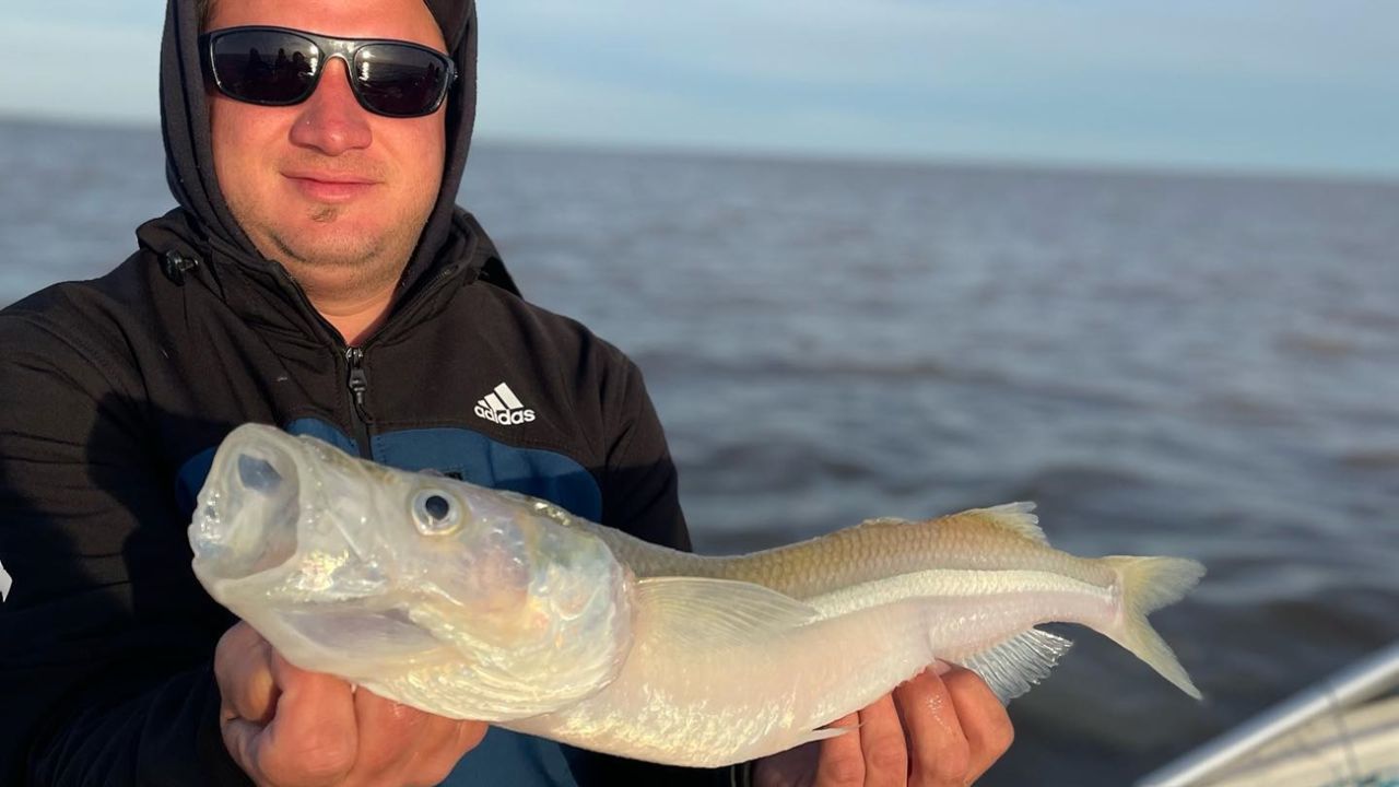 Actualidad del pique en 180 destinos | Weekend