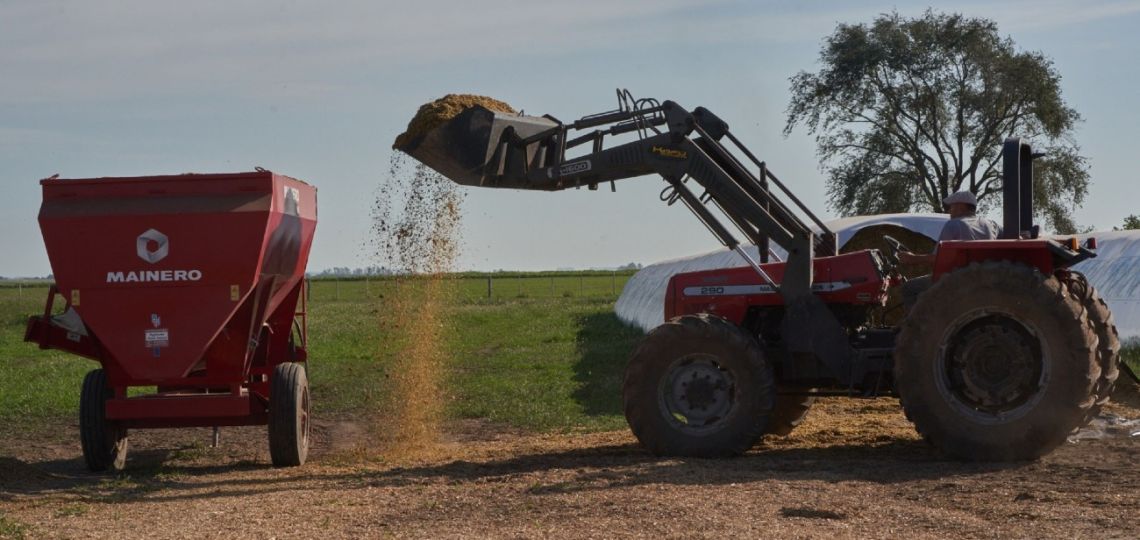 Drought slashes 2022/2023 soybean production by 51.5% | Buenos Aires Times