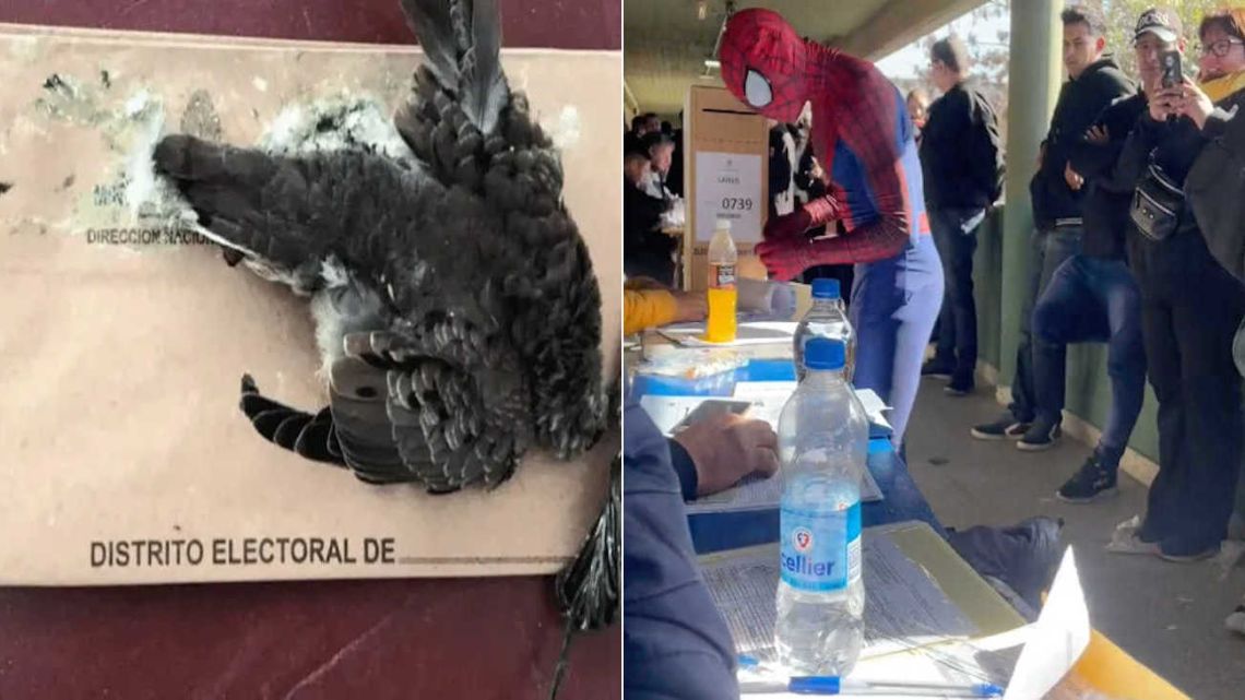 La paloma muerta en la urna, el cuarto oscuro orinado y el doble de ...