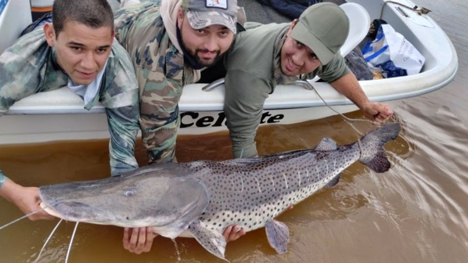 Evalúan la población de surubí en el río Uruguay inferior | Weekend