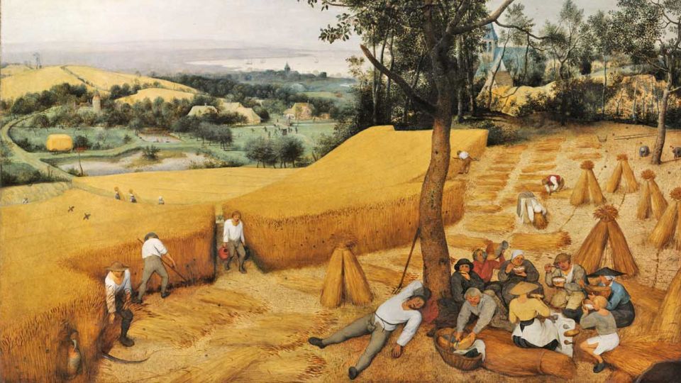 Milei and reaping what you sowed | Buenos Aires Times