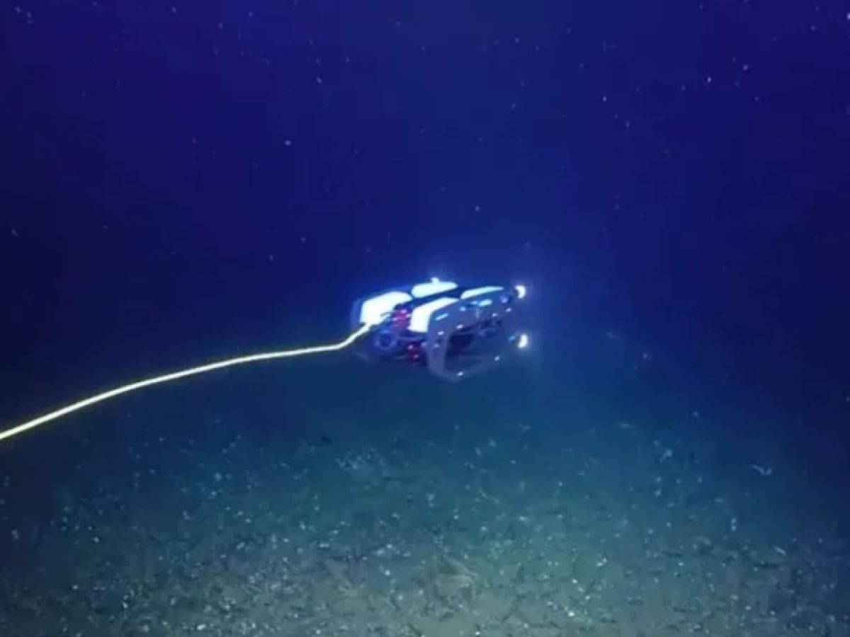 Nahuelito: en busca del mito más famoso de la Patagonia | Radio Perfil