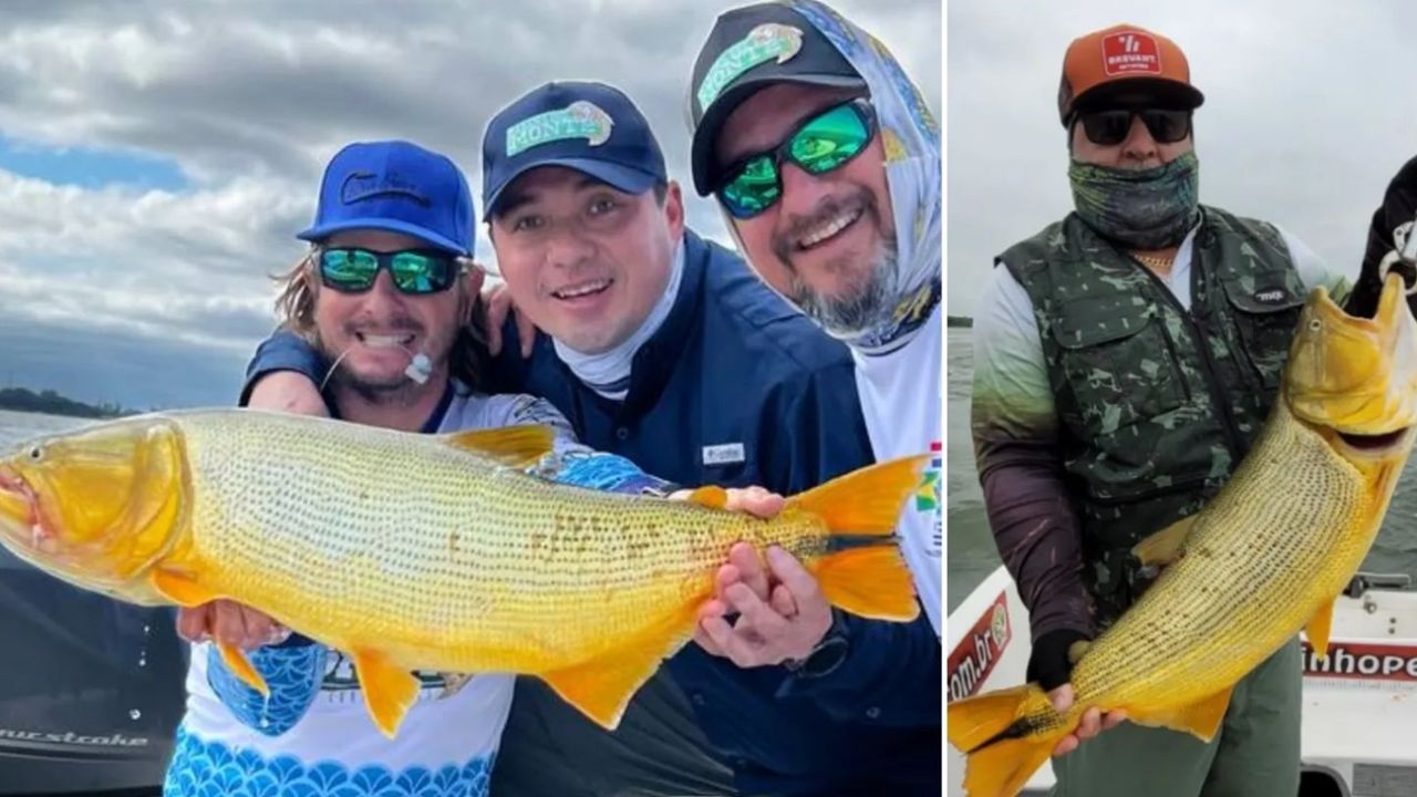 Un dorado marcado, fue recapturado cuatro días después | Weekend