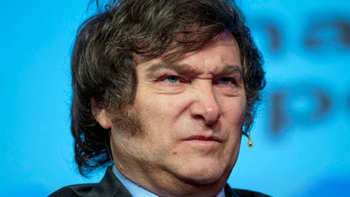 Milei, telepathic conversations with dogs and mental health | Buenos ...