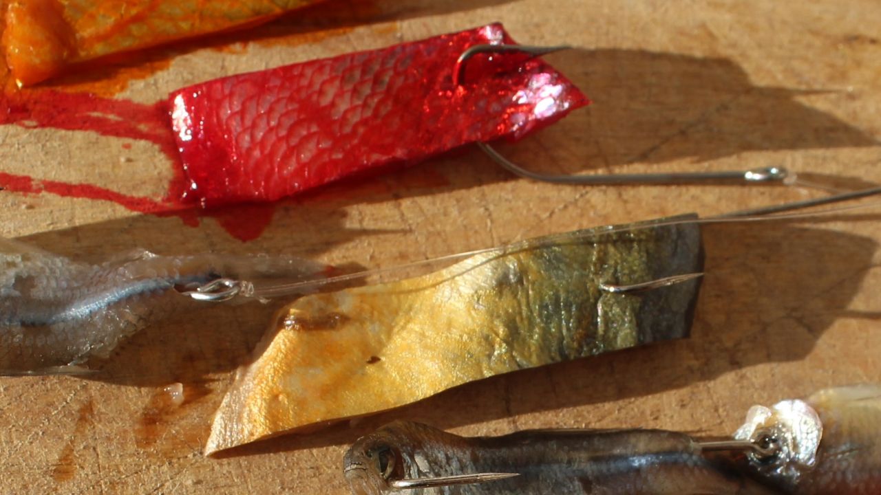 El magrú, una de las carnadas más rendidoras | Weekend