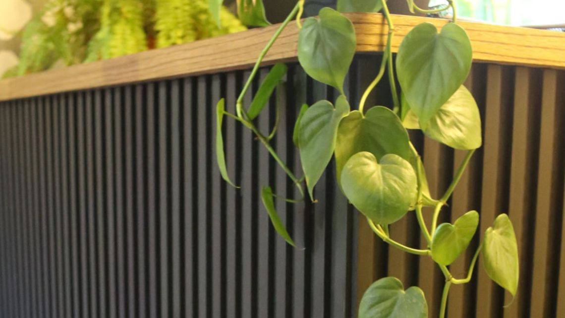 El varillado de madera: un recurso que no falla | Caras