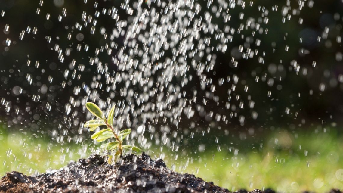 Se estima que el 70% del agua que se usa para regar, se pierde | Canal E