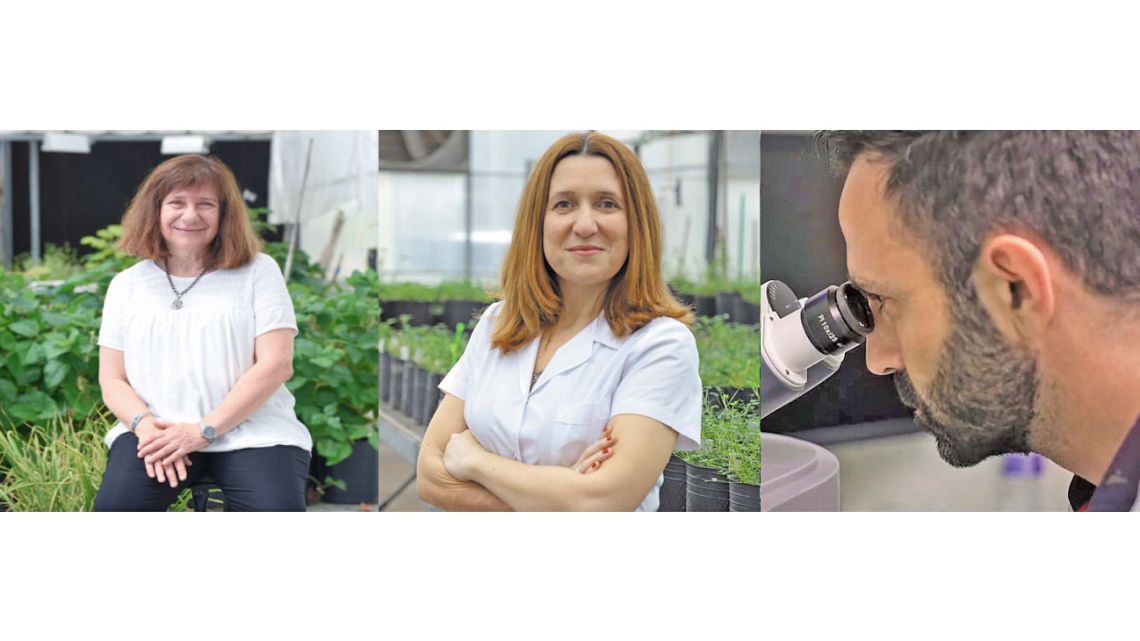 Progreso y desarrollo científico | Perfil