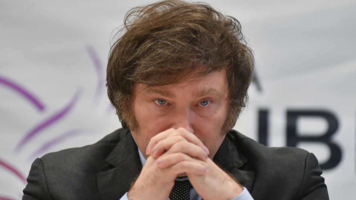 Javier Milei, misión imposible entre el “gatito mimoso” y el león | Perfil