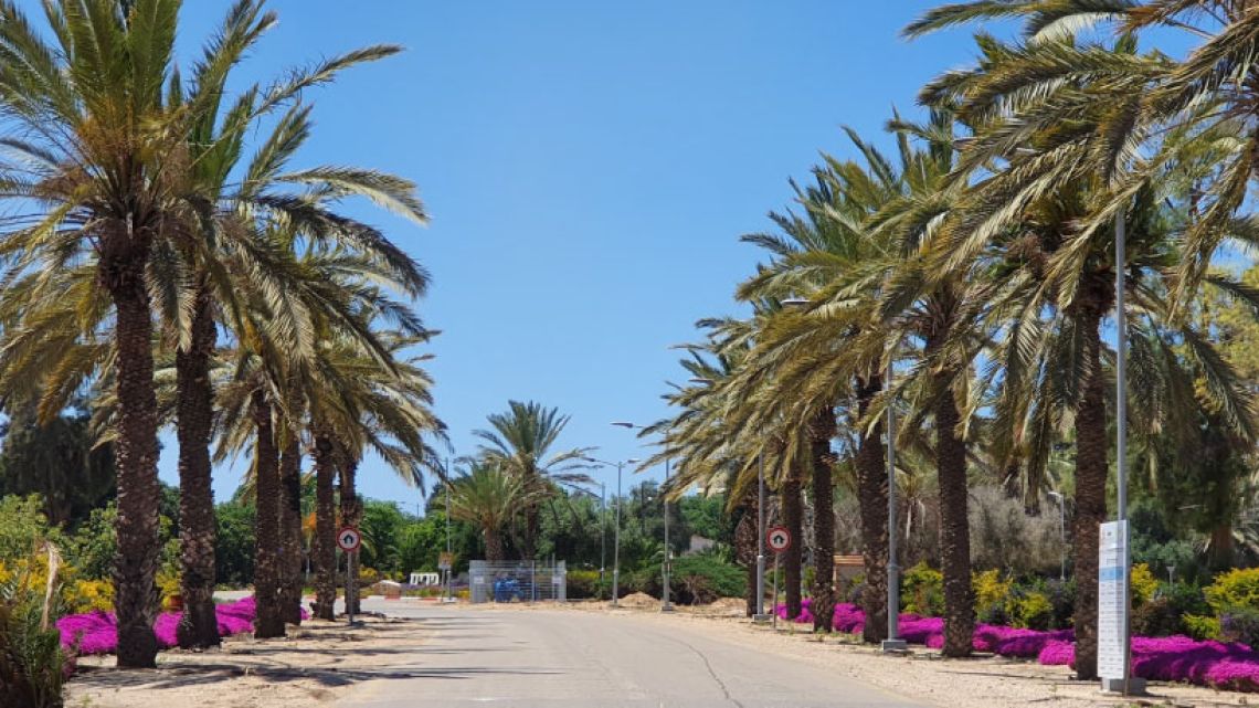 Qué son los kibutz: las granjas comunales "idealistas" donde los ...