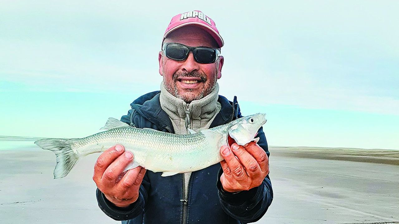 Lo que se viene: pejerreyes panzones en la costa bonaerense | Weekend