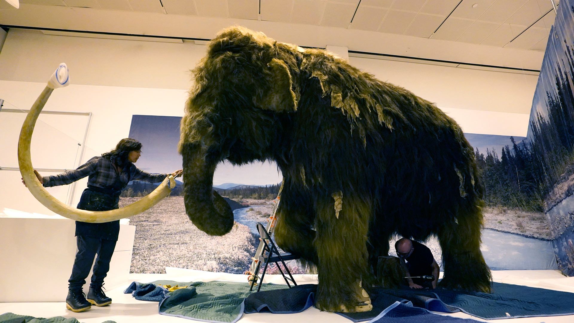 El día en fotos | Noticias