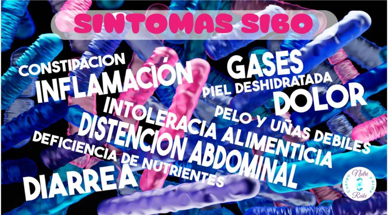 ¿Qué es el SIBO? Por la lic. Guillermina Alvez | Caras